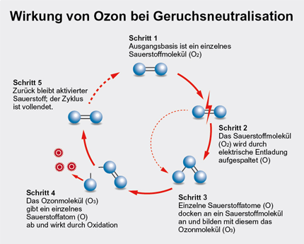 Ozon Gegen Geruche